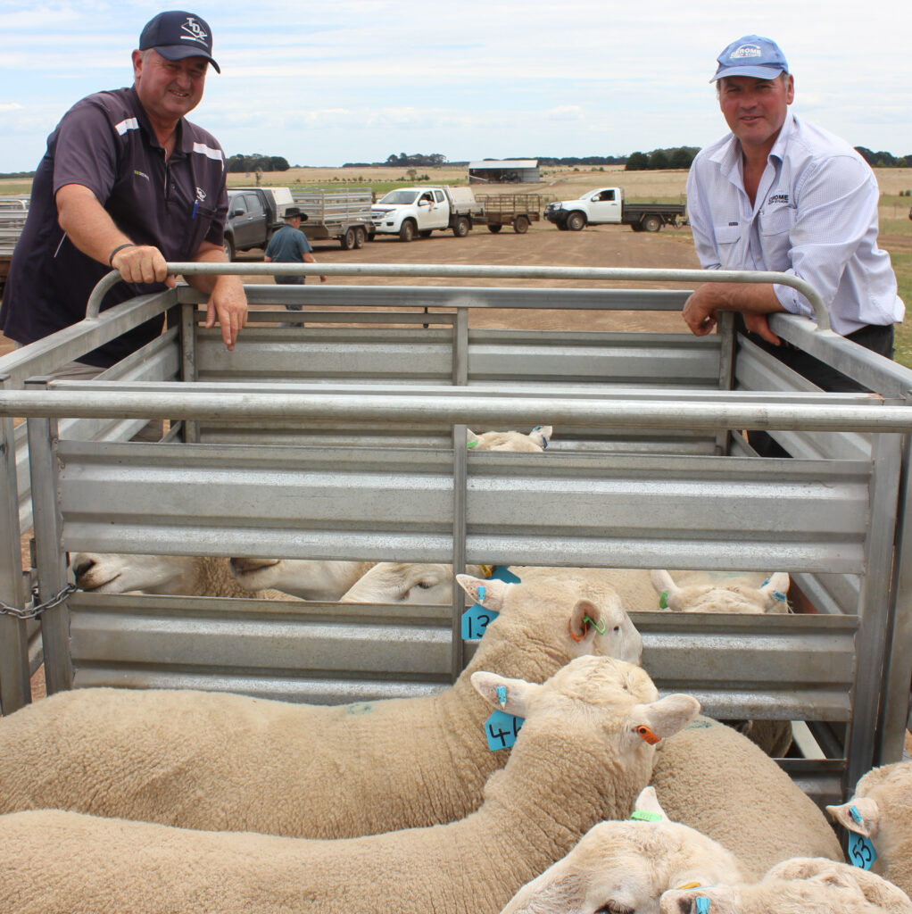 2021 Sale Reports - Chrome Sheep Studs